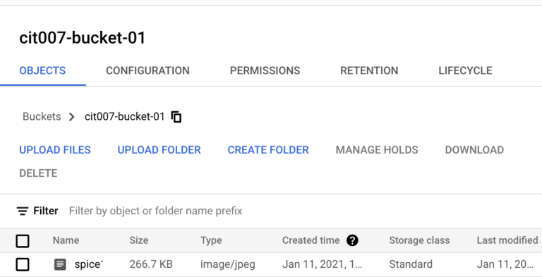GCP GCS OBJECT LIFECYCLE - CIT007